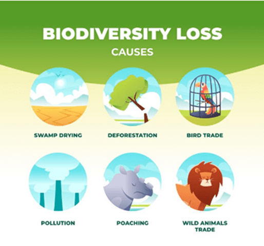 Biodiversity Loss - Dekho Suno Jano